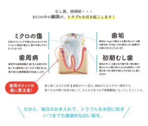 ヤクルト アパコート S.E. 効果を解説！(口コミも） | JUMBLE NOTE